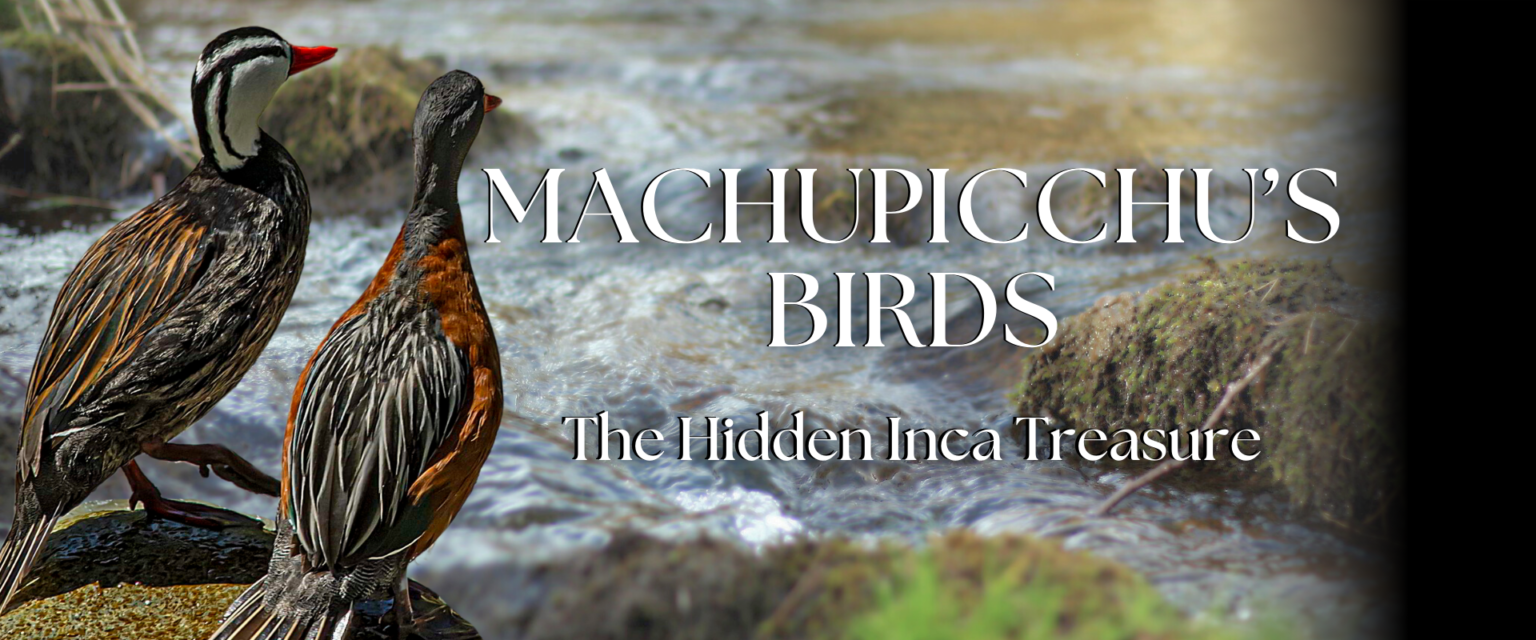 Discover the Birds of Machu Picchu – The True Treasure of the Incasng ...